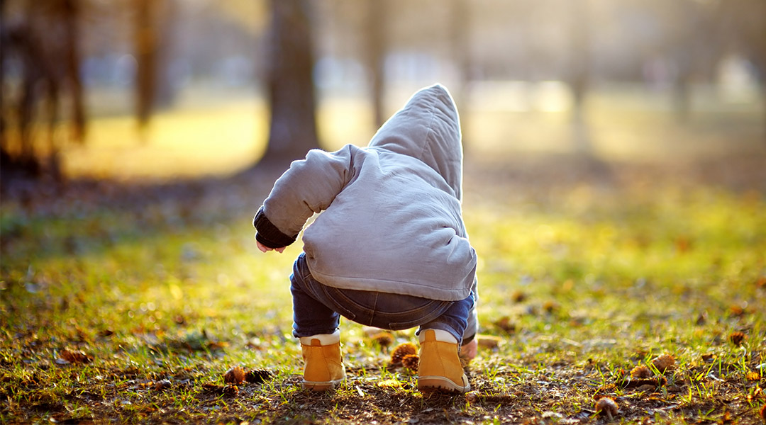 Explore Nature - Educational Activities - Learning Jungle Canada