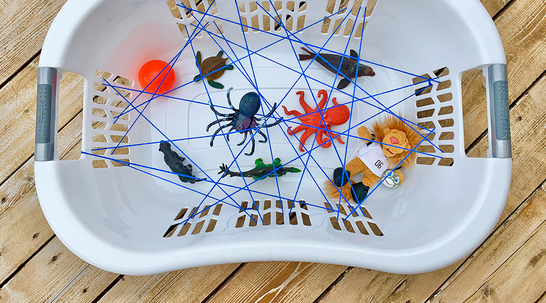 Spider Web Basket | Learning Jungle Canada